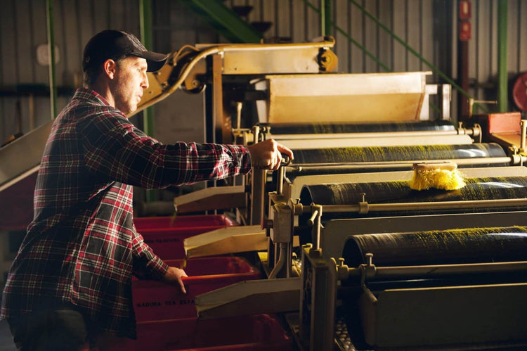 The Madura Story – Madura Tea